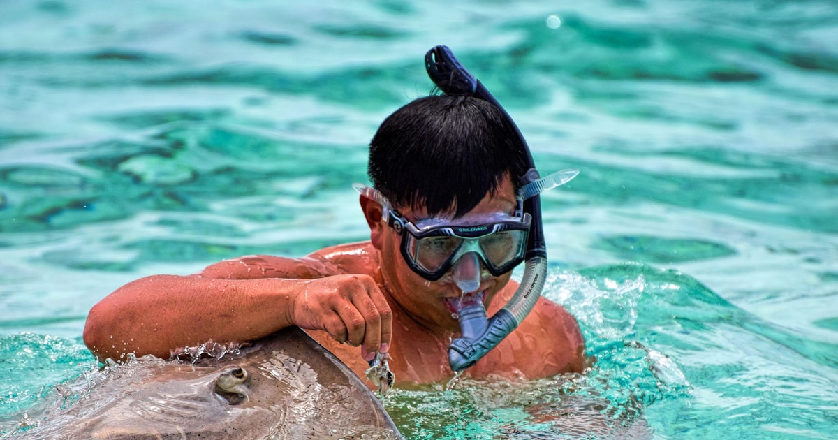 Bora Bora: tour combinato safari in 4x4 con snorkeling | GetYourGuide