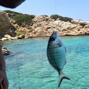 Athens: Fishing trips and swimming near Athens | GetYourGuide