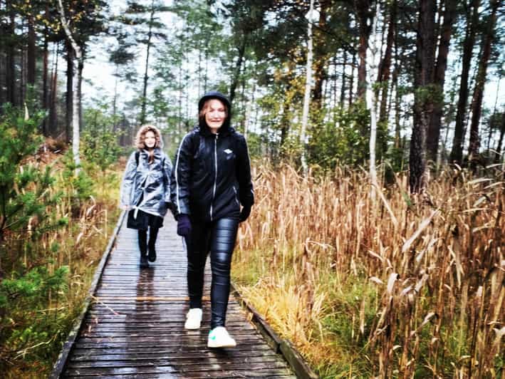 Kemeri-Nationalpark Wanderweg (16 km) | GetYourGuide