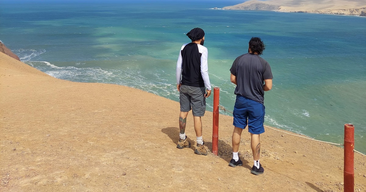 Tagestour: Ballestas Inseln & Paracas Naturreservat | GetYourGuide