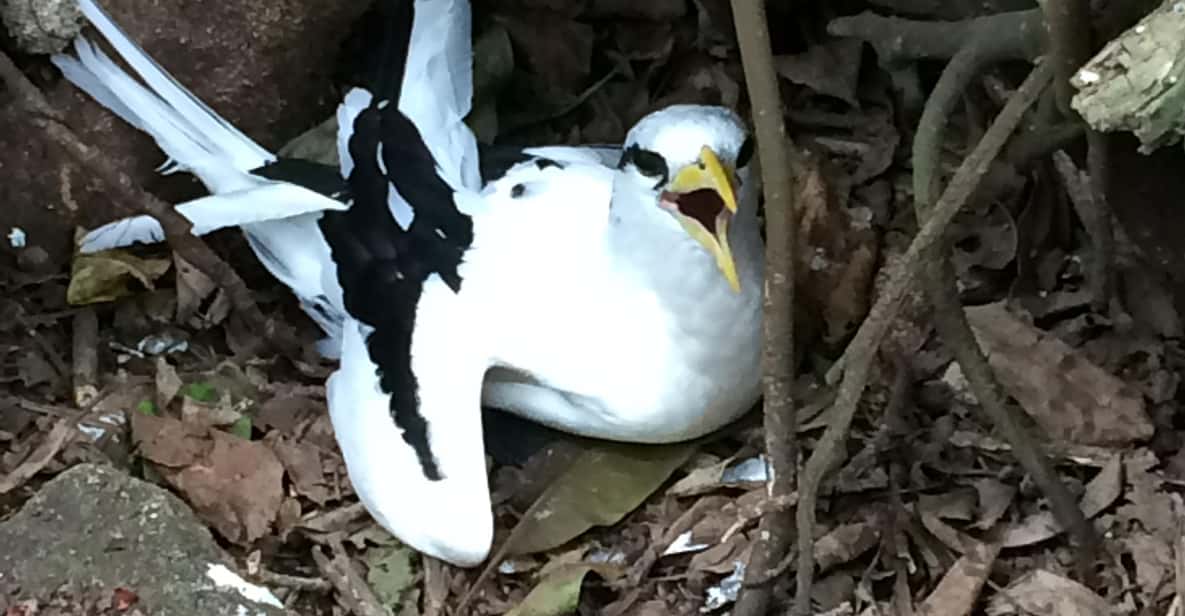 Cousin: 3 hours guided visit UNESCO special bird reserve. | GetYourGuide