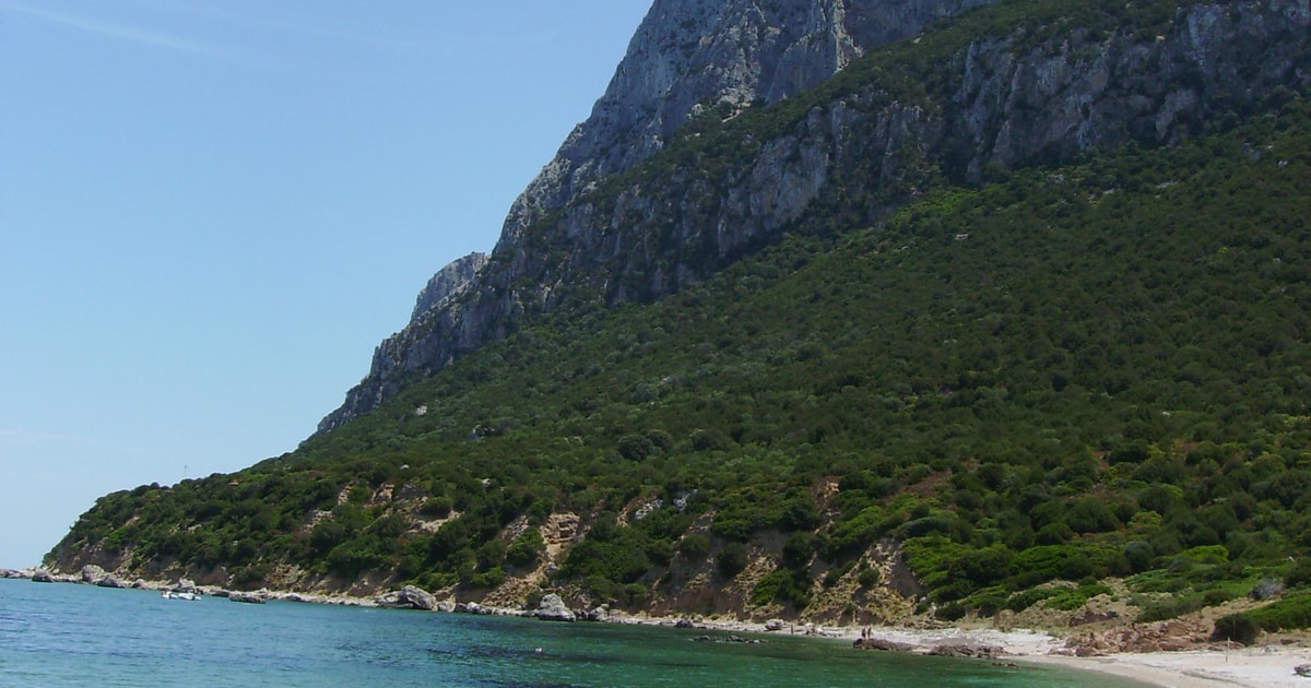 SNORKELING TAVOLARA DAN MOLARA DALAM BOT GETAH | GetYourGuide