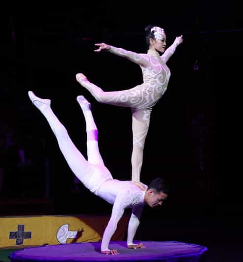 Visite de Pékin en groupe avec spectacle d'acrobatie et dîner de canard laqué | GetYourGuide