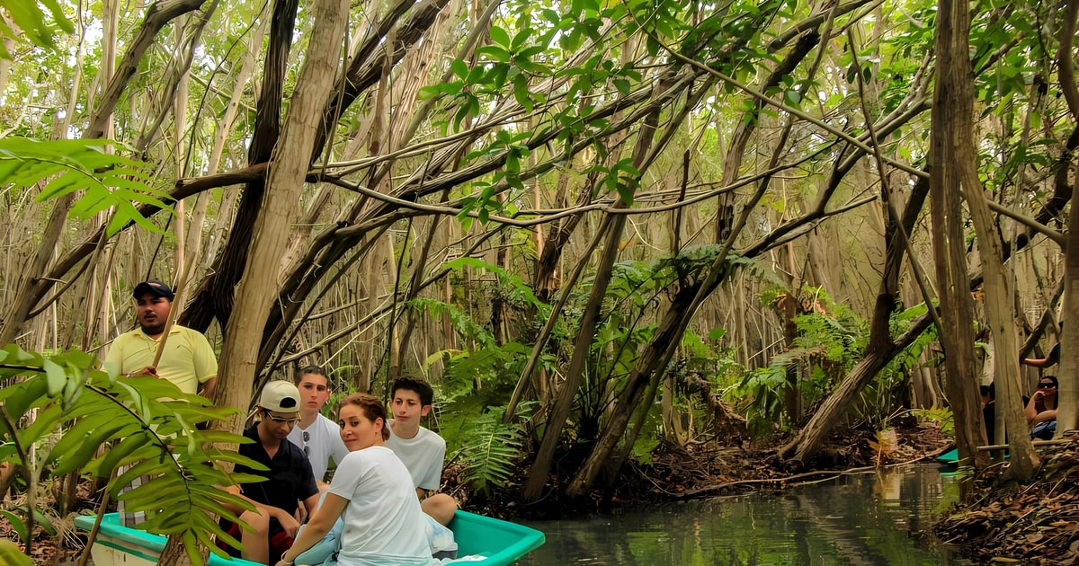 Från Mérida: Strand, mangrove och något mer | GetYourGuide