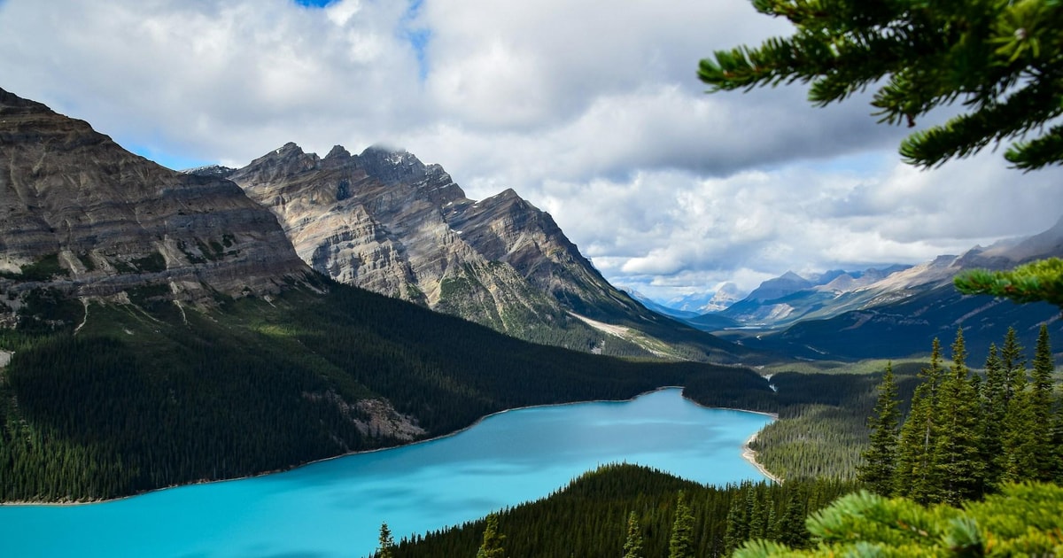 Calgary/Banff: Lake Louise, Moraine, Peyto & Bow Meren Tour | GetYourGuide