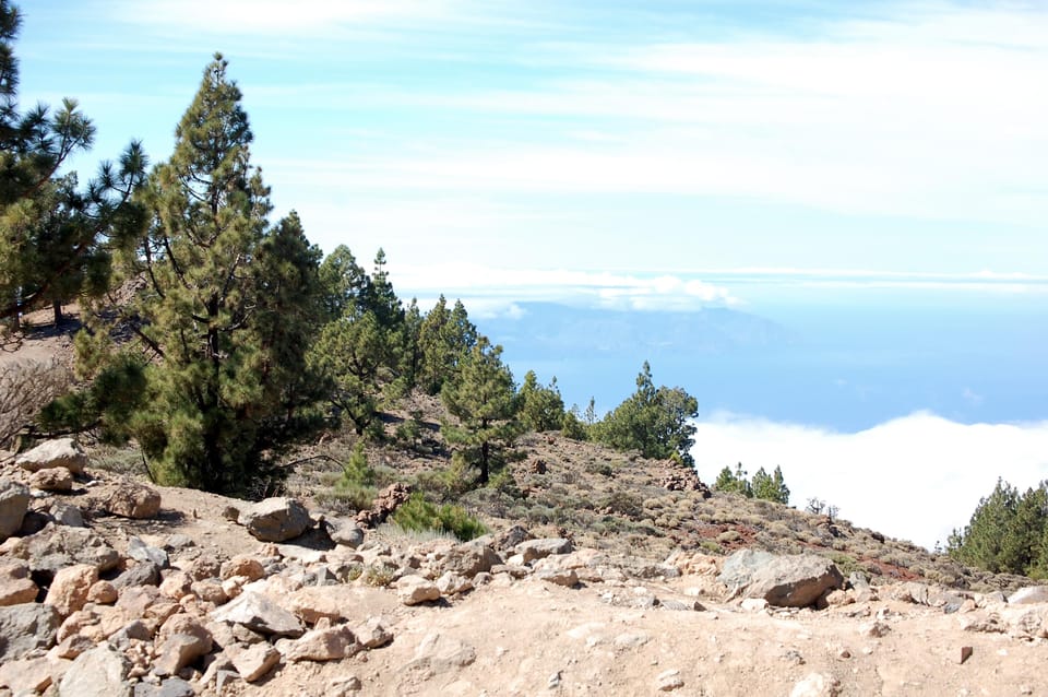 Teide Volcano Ride - Road Bike Tour | GetYourGuide