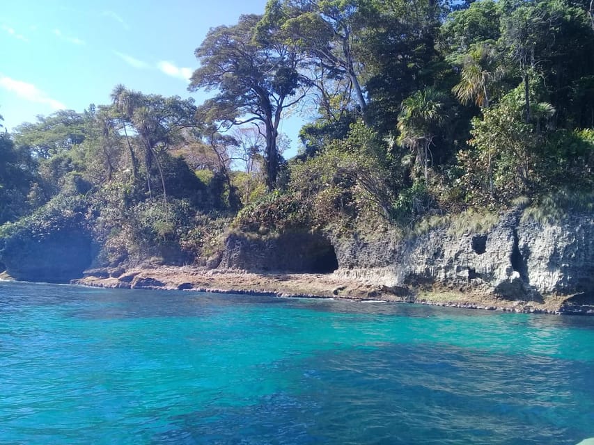 Manzanillo: Dolphin watching and Punta Mona Beach | GetYourGuide