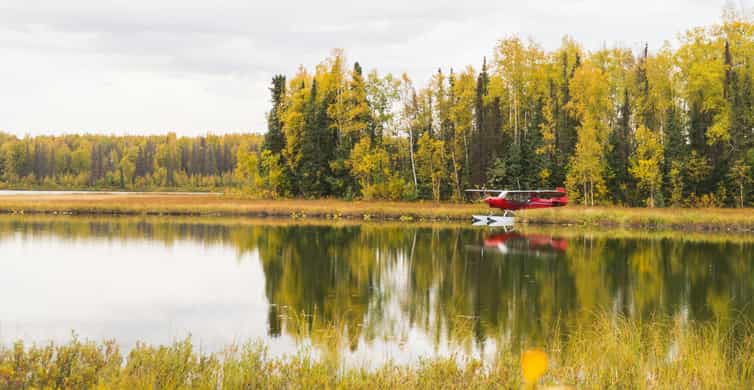 Denali-In-A-Day Sightseeing Tour | GetYourGuide