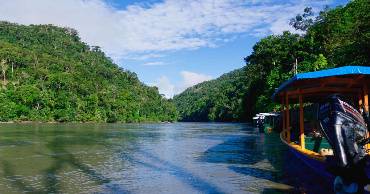 Excursión Selva + Río Amazonas 4 Días | GetYourGuide