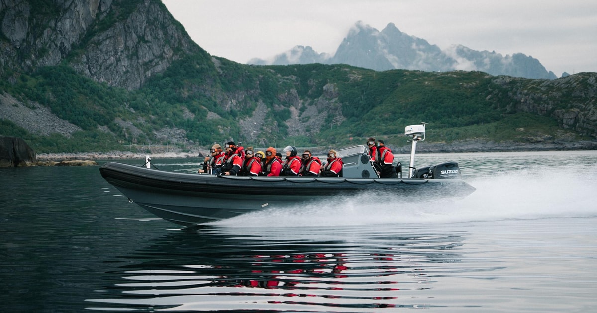 Von Svolvær: RIB-Boot Lofoten Trollfjord Seeadler-Safari | GetYourGuide