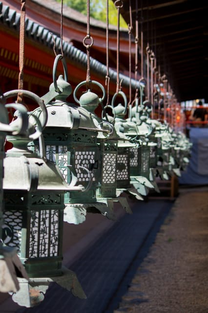 Nara Heritage Walkabout from Nara Park to Todaji-ji temple | GetYourGuide