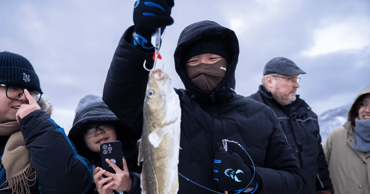 From Tromso: Polar Fishing Adventure | GetYourGuide