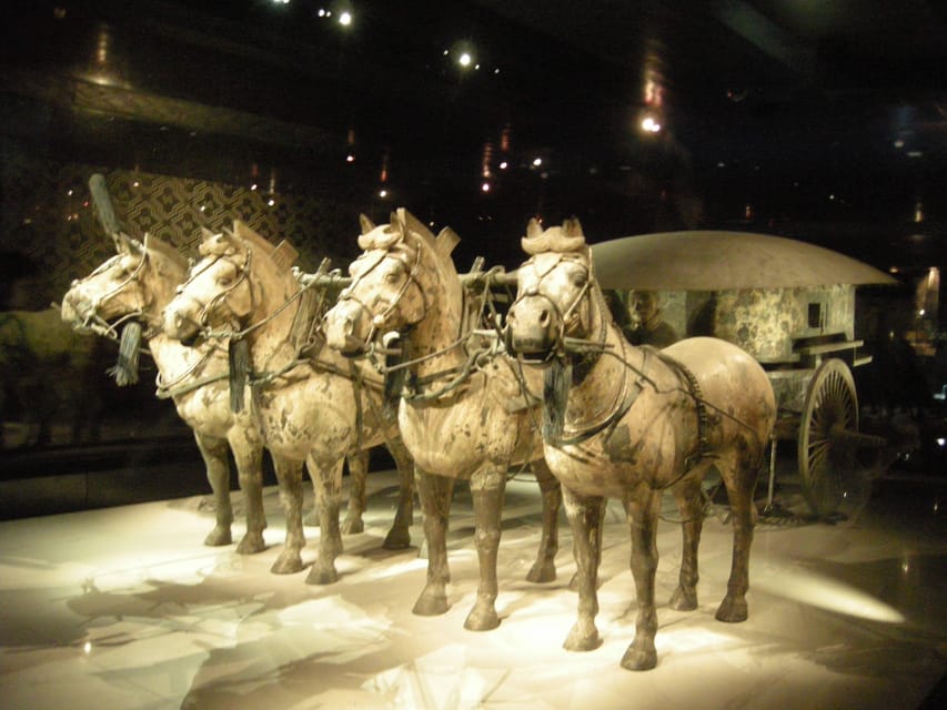 Terra-cotta Warriors Ticket with Optional Guided Service | GetYourGuide
