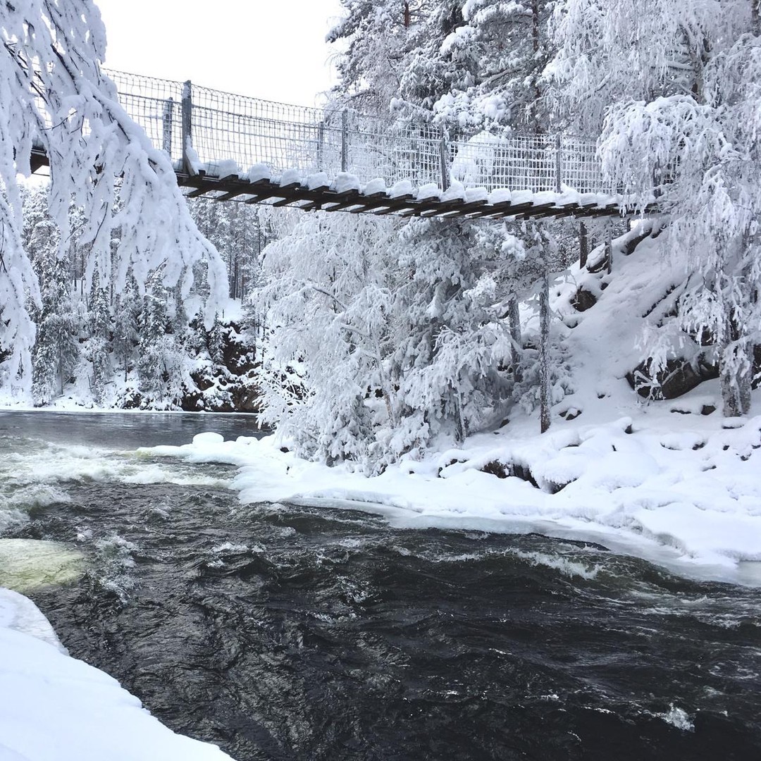 Ruka: Oulanka National Park Snowshoeing Tour | GetYourGuide