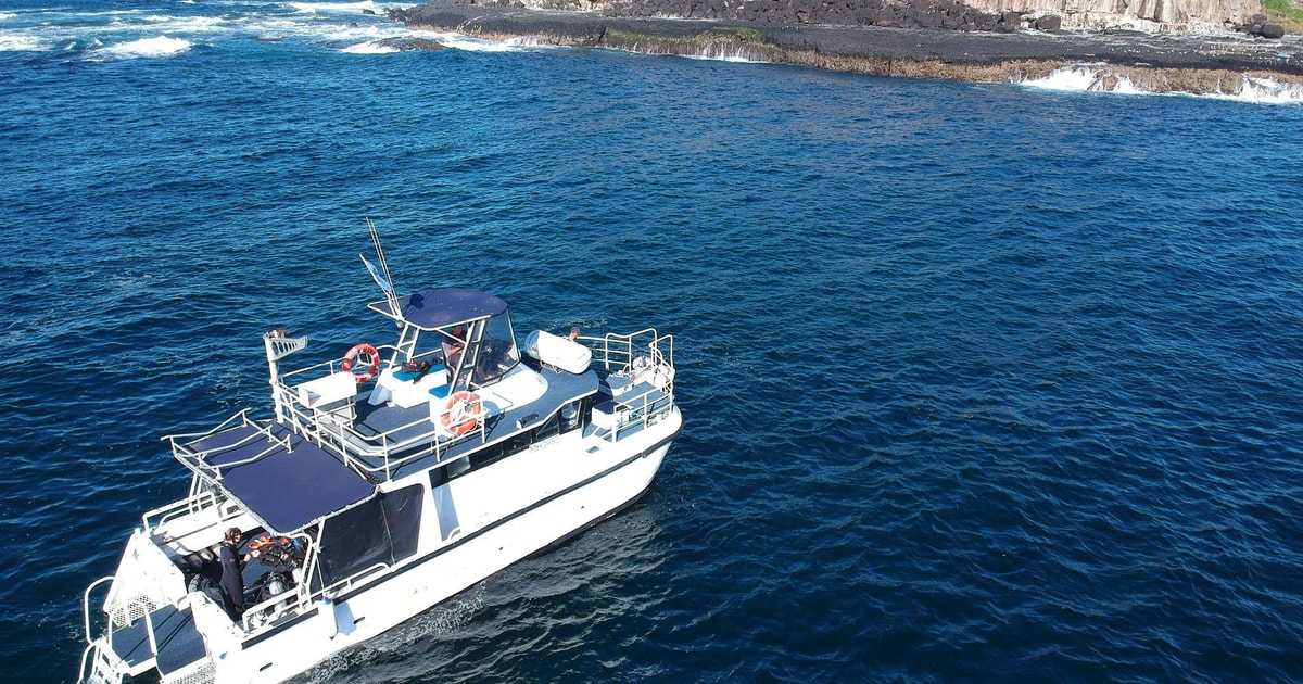 Costa de Oro: Inmersión de Experiencia de Buceo en la Reserva Marina de la Isla Cook | GetYourGuide
