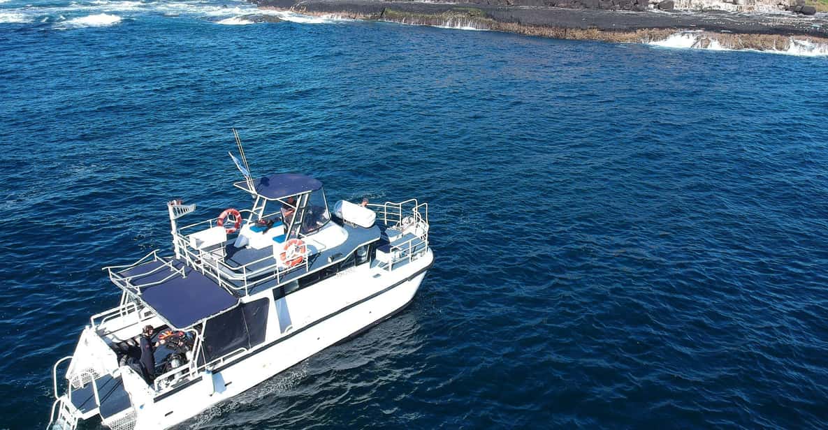 Gold Coast: Cook Island Marine Reserve Scuba Experience Dive | GetYourGuide