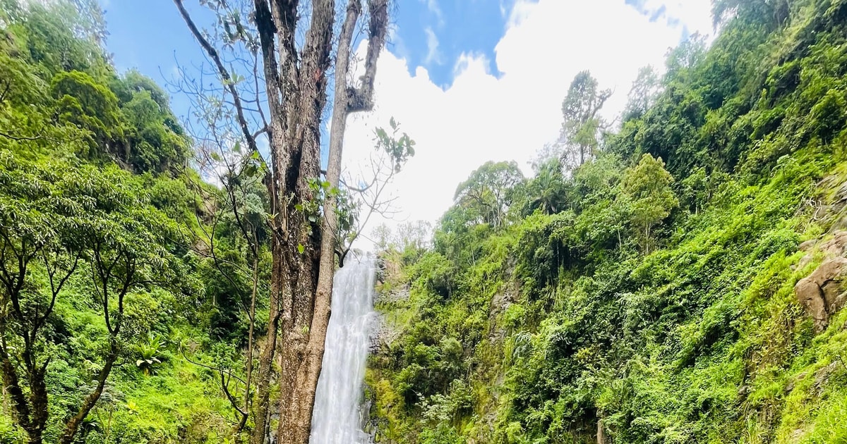 Arusha: Materuni Waterfalls, Coffee & Moshi City Tour | GetYourGuide