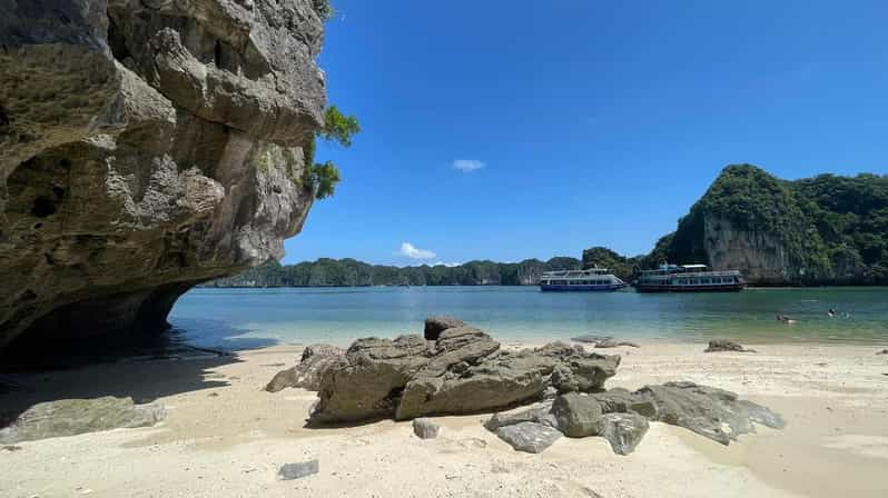 Cat Ba Island: Lan Ha Bay Bioluminescence Plankton Kayaking | GetYourGuide