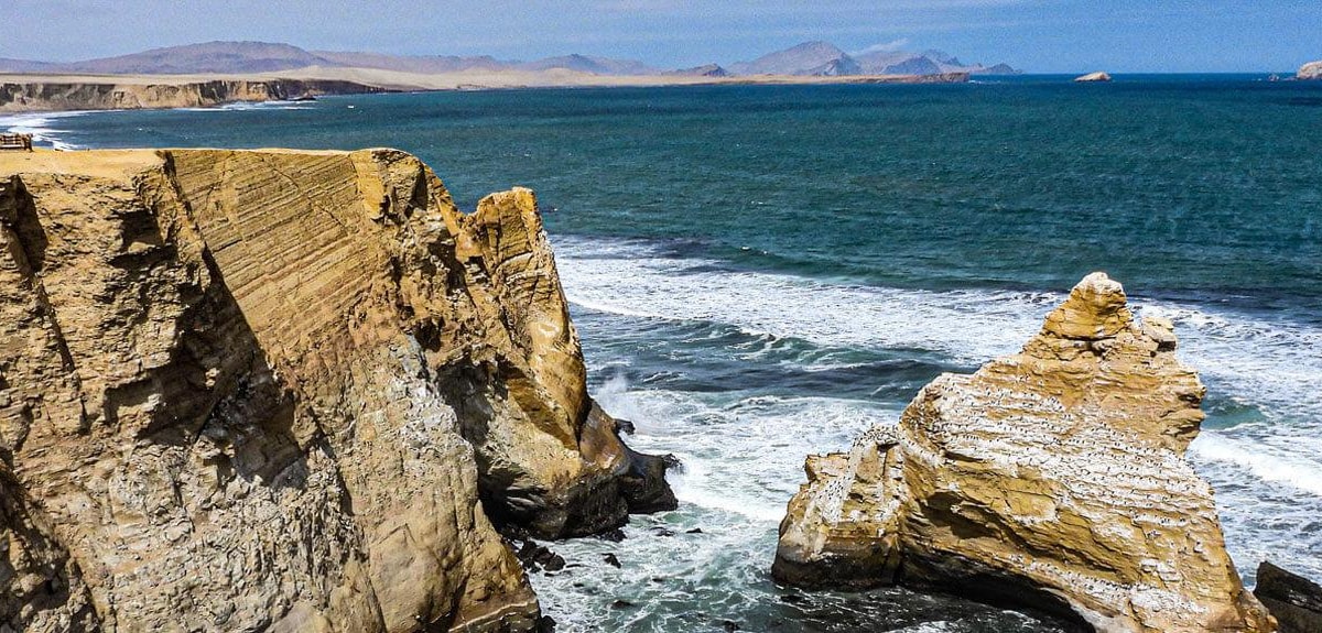 From Lima: Ballestas Islands, Winery, and Huacachina Tour | GetYourGuide