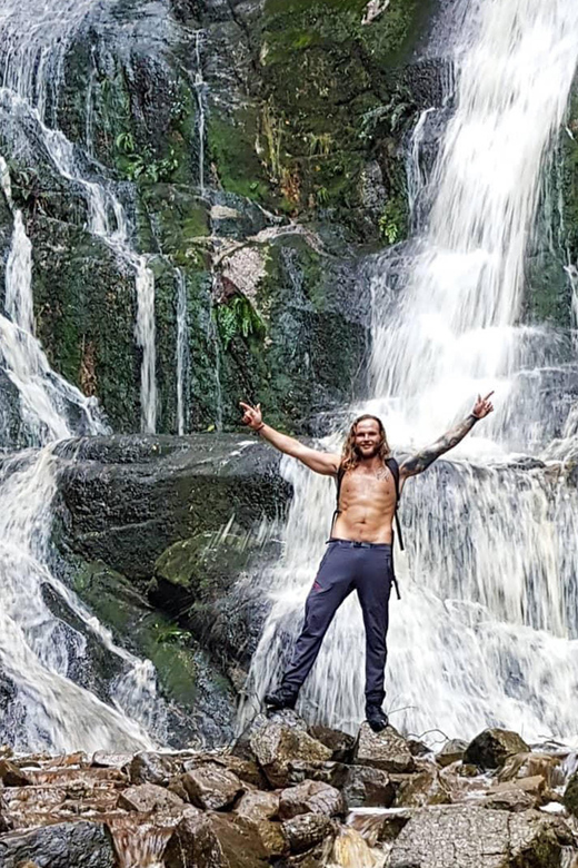 Table Mountain: Skeleton Gorge Hike | GetYourGuide