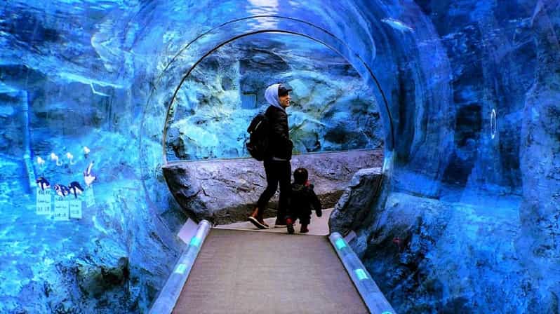 Hokkaido: Kurodake Ropeway, Asahiyama Zoo Autumn Leaves Tour | GetYourGuide