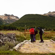 Discover Tierra del Fuego National Park | GetYourGuide
