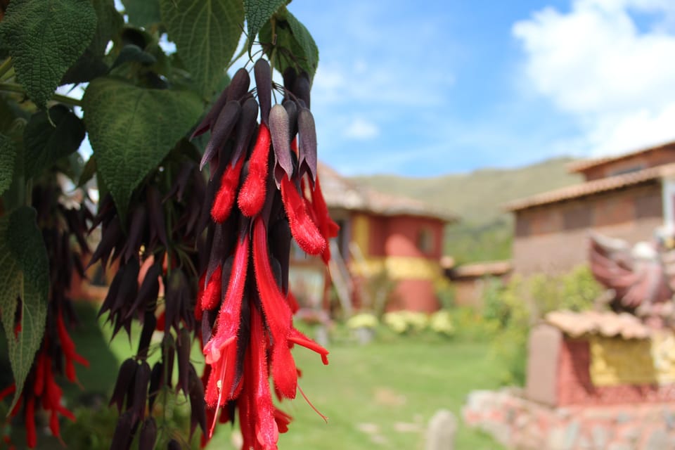 Crossing the Andes and the Amazon | GetYourGuide