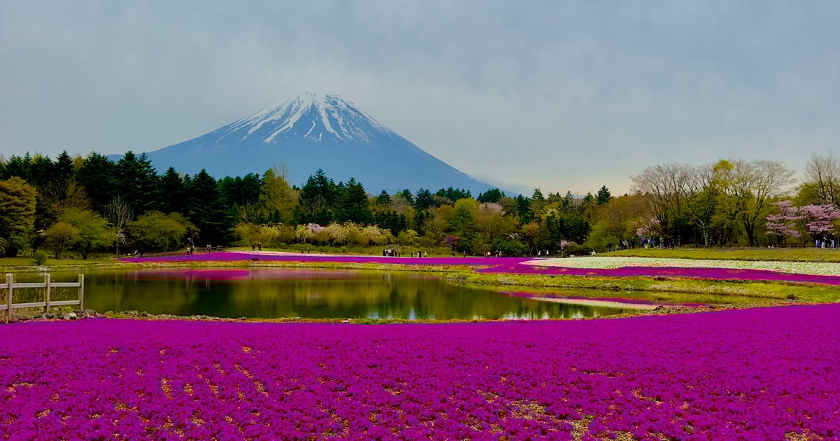 Berg Fuji Hakone mit englischsprachigem Führer | GetYourGuide