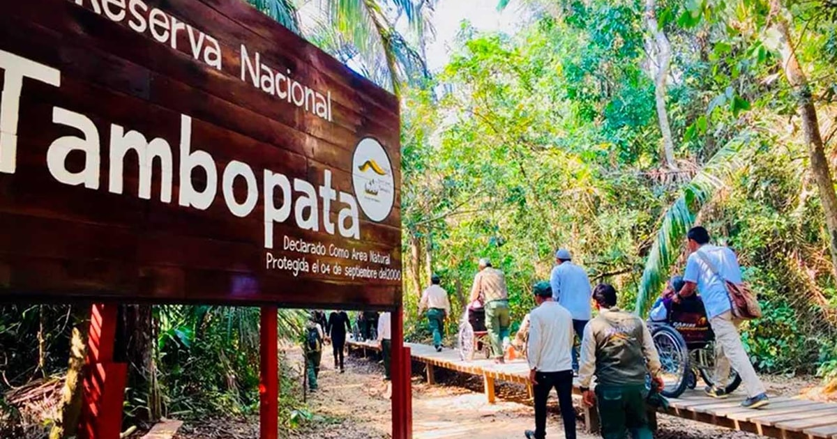 Desde Tambopata: en el corazón del lago sandoval 4D/3N | GetYourGuide