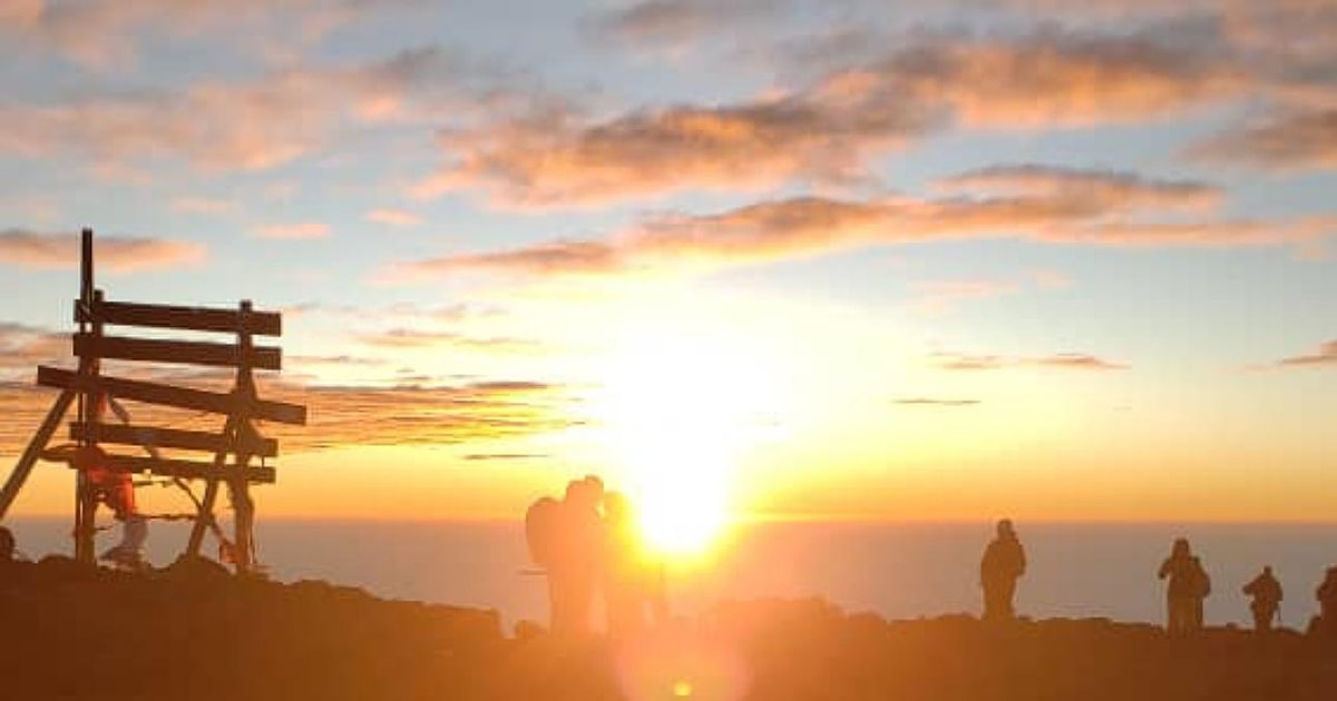 Pendakian Gunung Kilimanjaro 7 Hari Rute Lemosho | GetYourGuide