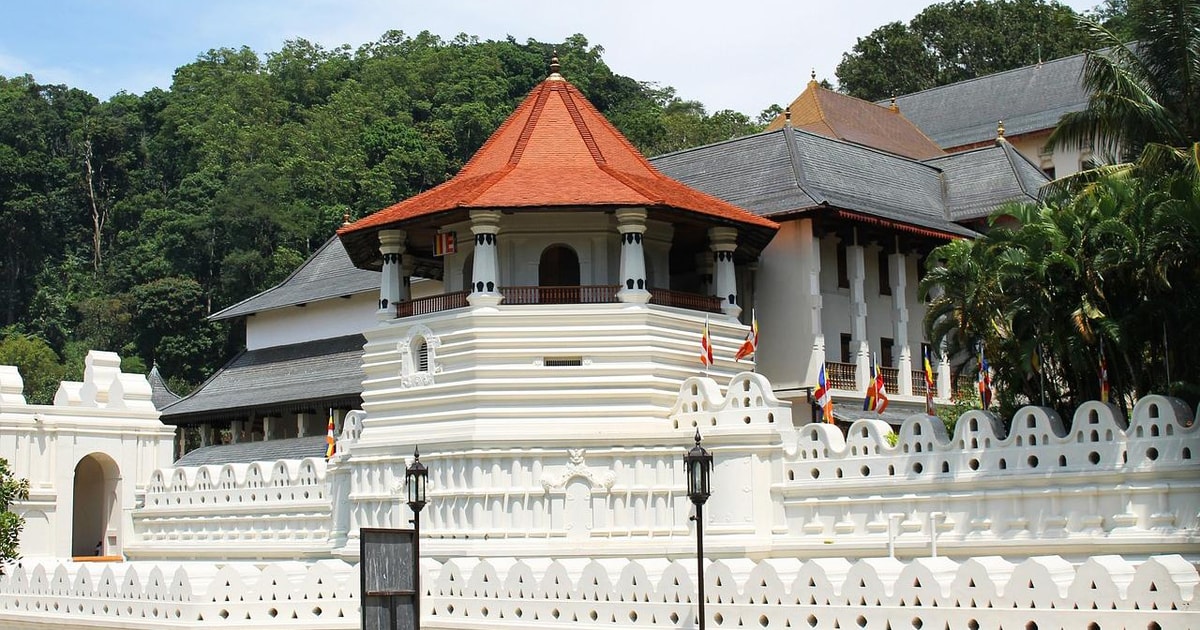 Discover Kandy: Cultural Day Tour from Colombo | GetYourGuide