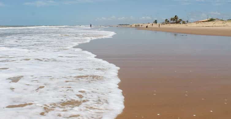 Aracaju: Excursión a la Playa de Saco | GetYourGuide