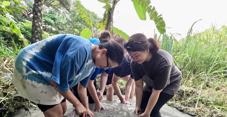 Amami: Oshima Tsumugi and Mud Dyeing Experience | GetYourGuide