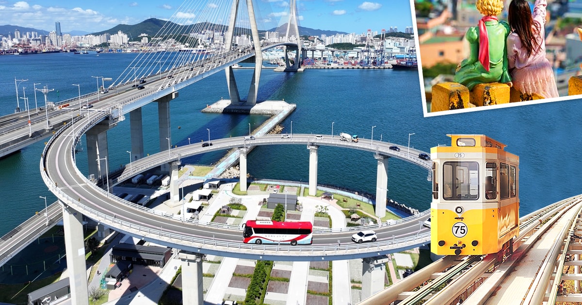 Busan: Tour por los 9 lugares más destacados de Busan | GetYourGuide