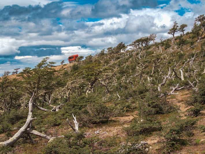 Puerto Natales : Tour du Cerro Dorotea en 8x8 avec vues panoramiques ...