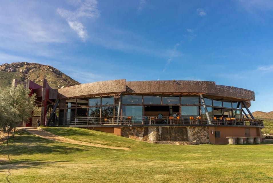 From Tijuana: Valle de Guadalupe Shared Winery Tour | GetYourGuide