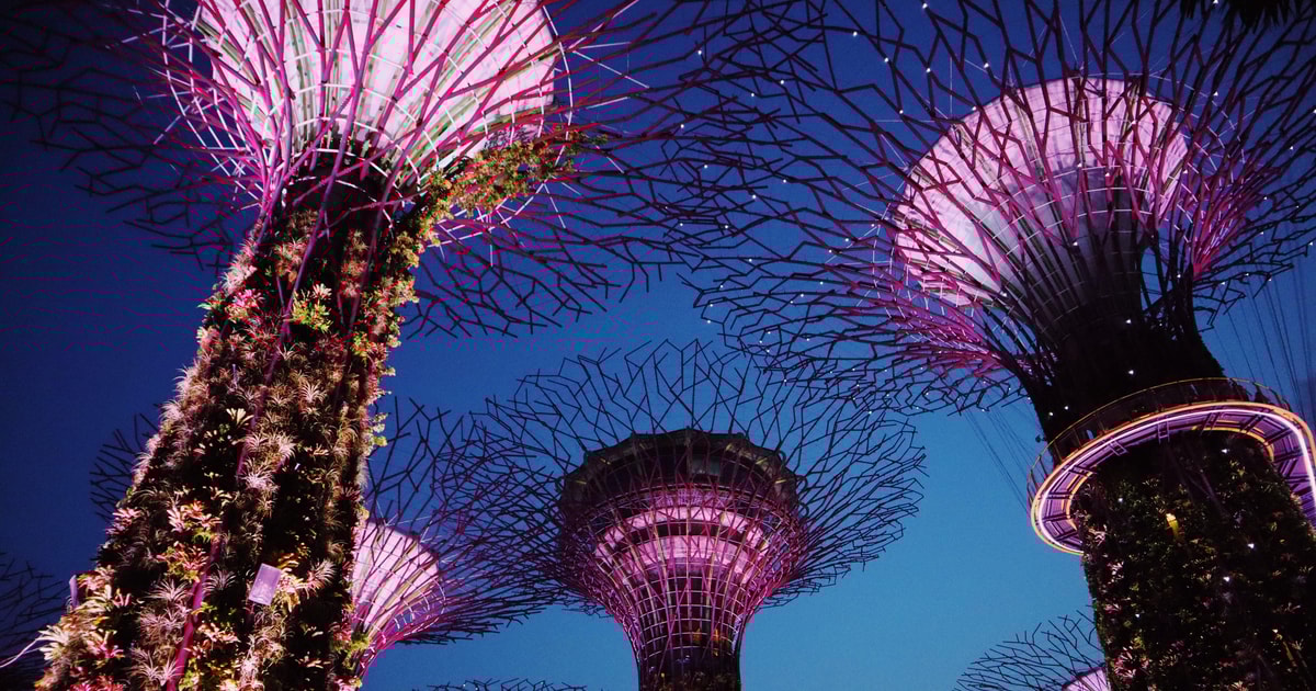 Singapore: Privat tur med en lokal guide | GetYourGuide