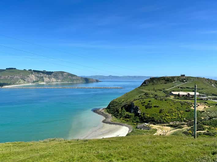 Dunedin City & Otago Peninsula Scenery Day Tour | GetYourGuide