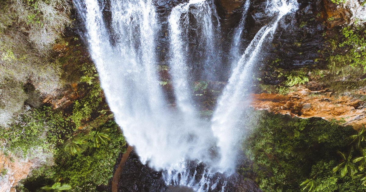Gold Coast: 6 Waterfalls, Koalas & Natural Bridge Day Tour | GetYourGuide
