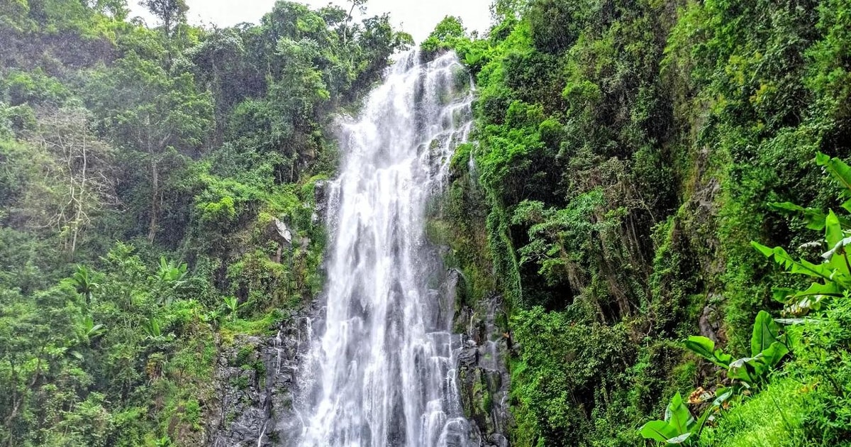 Materuni Waterfalls & coffee farm Day-Tour in Moshi | GetYourGuide