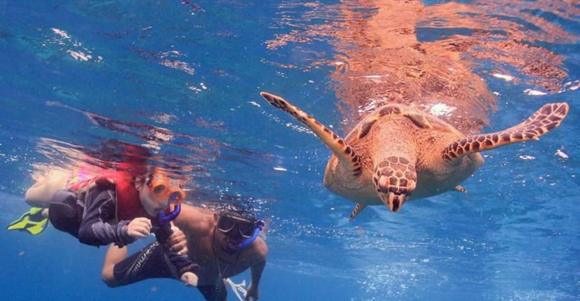 Cancun: Snorkeling at Underwater Museum & Manchones Reef | GetYourGuide
