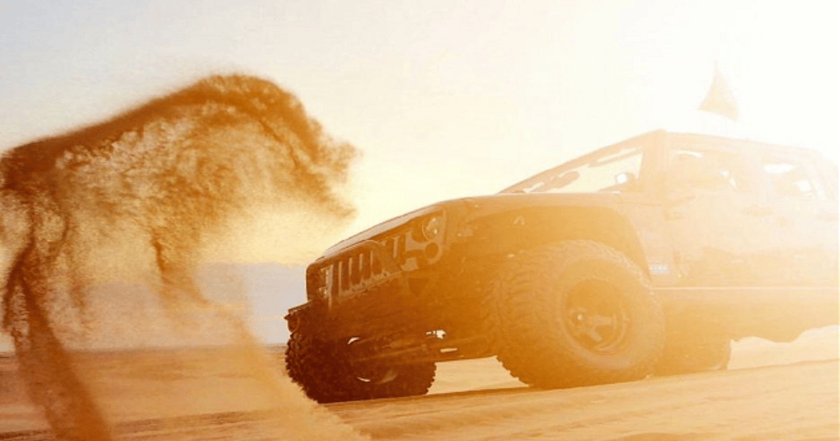 Safari Tour | GetYourGuide