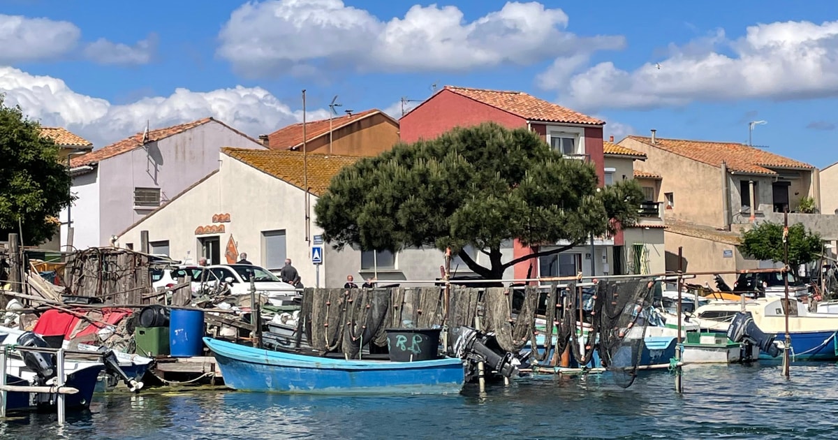 Montpellier : half-day trip walking tour in Sète and oysters | GetYourGuide