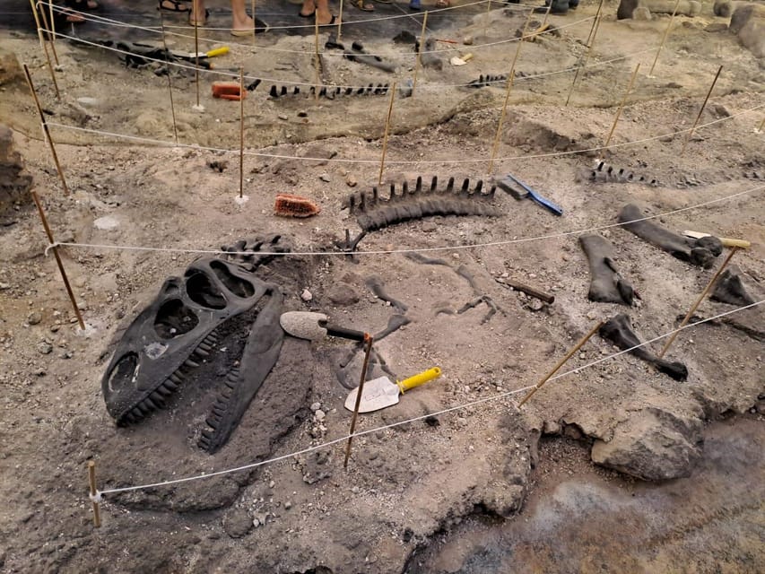 Meteorite Museum, Dzibilchaltún & beach break at Progresso | GetYourGuide