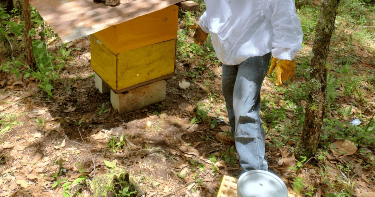 San Cristobal: Huixtan Adventure with Traditional Activities | GetYourGuide