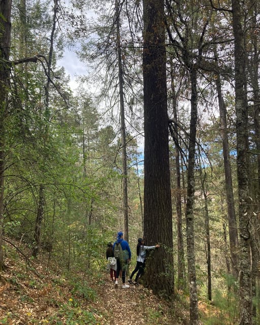 Durango: Recorrido Explorando el Parque La Pirámide | GetYourGuide