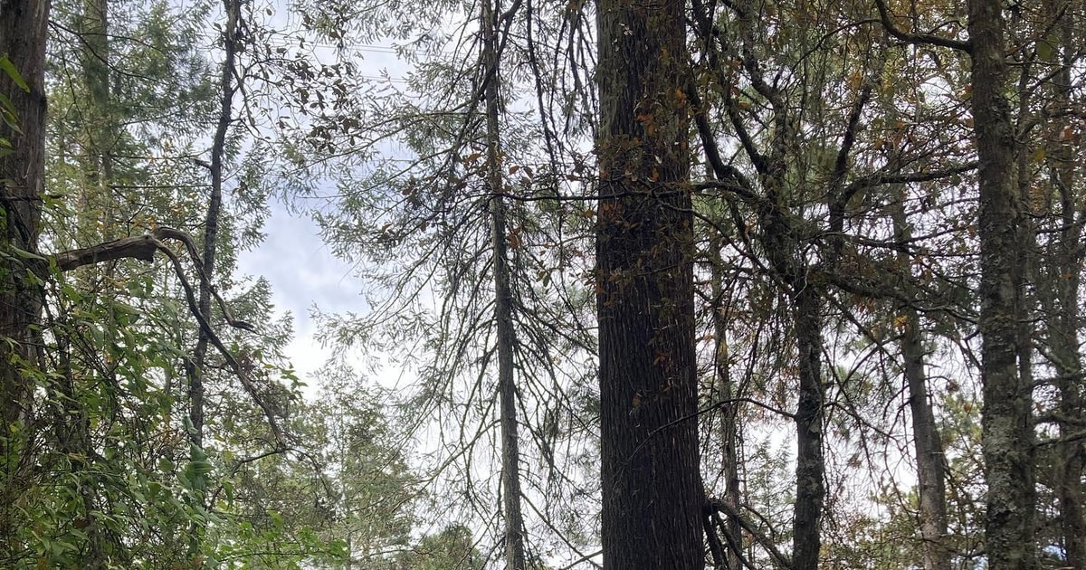 Durango: Recorrido Explorando el Parque La Pirámide | GetYourGuide