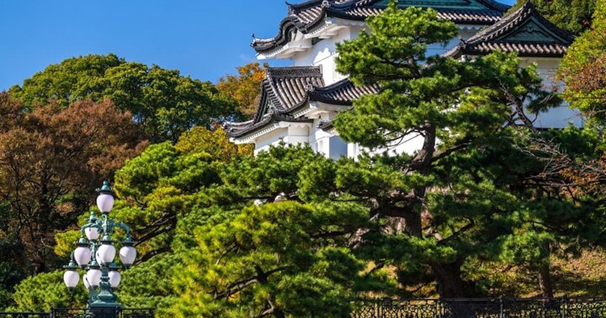Tokio: tour privado - Castillo de Edo y Jardines del Palacio Imperial ...