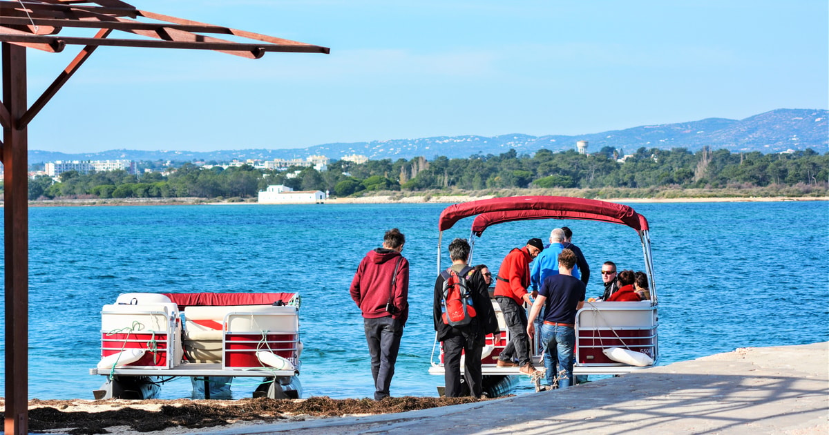 Faro: Tur cu barca în Insulele Ria Formosa Faro | GetYourGuide