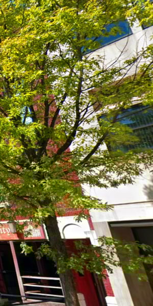 Raleigh Downtown: Historic Walking Tours | GetYourGuide